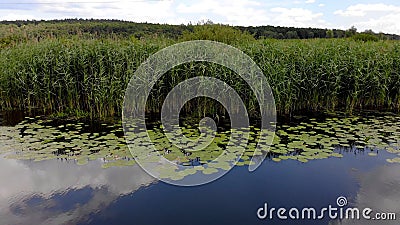 River view from above stock video. Video of beautiful - 122465485