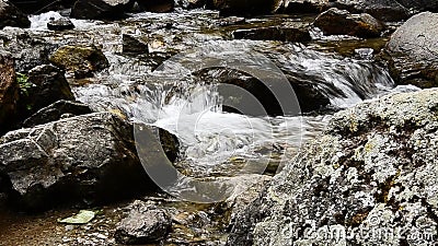 River Water Flowing in a Close View with Pebbles Stock Video - Video of ...