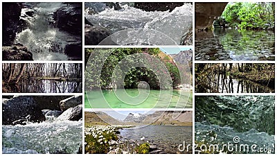 Alps Collage. High Mountains, Flora, Fauna and People. Stock Footage ...