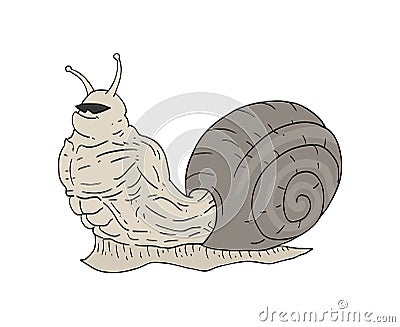 Strong Snail Draw Cartoon Vector | CartoonDealer.com #150366709