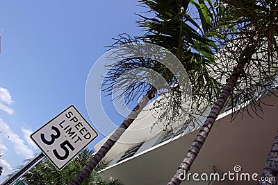 Road Sign With Palm Trees Royalty-Free Stock Photo | CartoonDealer.com ...