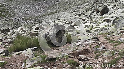 A Rock Falling Down a Slope Causes a Rockfall Stock Video - Video of ...