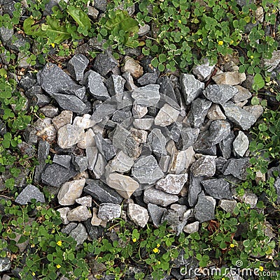 Rock And Grass Stock Photos - Image: 20436203