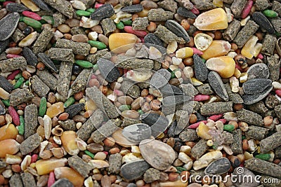 Rodent Food Mix Royalty Free Stock Photos - Image: 646418