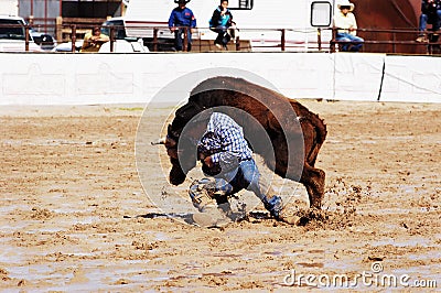 Rodeo In The Mud. Royalty Free Stock Photography - Image: 307927