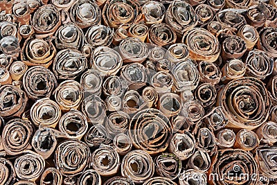 Rolls Of Birch Bark Background Texture. Rolled Bark Details Of Birch ...