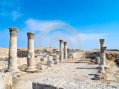 Roman Citadel In Amman, Jordan Stock Photography | CartoonDealer.com ...