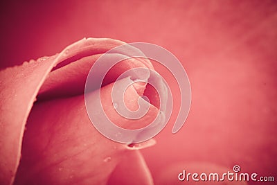 Romantic Vintage Background. Royalty-Free Stock Image | CartoonDealer ...
