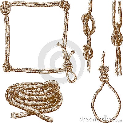 Ropes In Various Forms Cartoon Vector | CartoonDealer.com #24904549