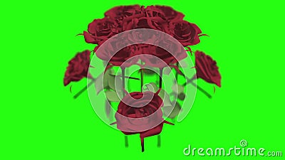 Rotating Bouquet of Flowers in Green Screen Background Loop Stock Video ...