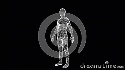 Rotating 3d Rendering Human Figure Formed by Connecting Lines 4k Loop ...