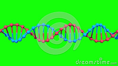 Rotating DNA on Green Screen, Chroma Key, Looped Animation, 3D ...