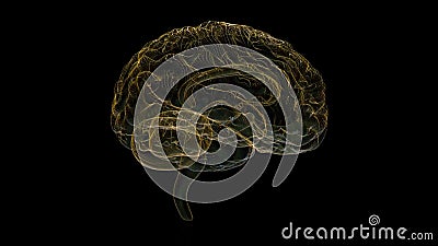 Rotating Human Brain. Polygon Mesh of Human Brain Model Stock Video ...