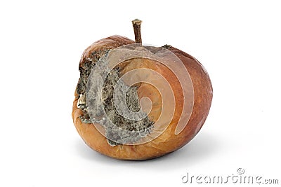 Rotte Appel Royalty-vrije Stock Afbeeldingen - Afbeelding: 9188769