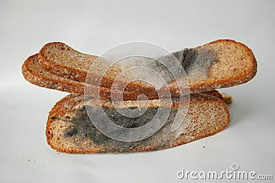 Rotten Slices Of Bread Stock Photo - Image: 4550580