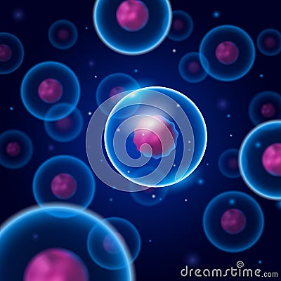 Round Membrane Cells Vector Illustration | CartoonDealer.com #37725932