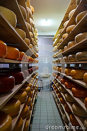 Rows Of Ripening Cheeses In A Dairy Vault. Royalty-Free Stock ...