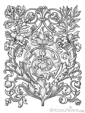 Royal Design Elements Vector Stock Photos - Image: 6449163