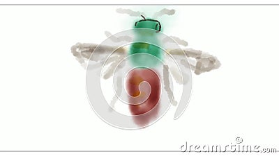 Ruby Tailed Wasp Drawing Time Lapse 2D Animation Stock Footage - Video ...