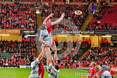 Rugby Player Doing Throw In Editorial Stock Image - Image: 12626854