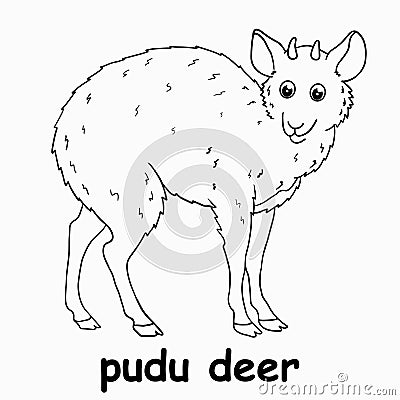 Kids Line Illustration Coloring Pudu Deer. Outline Vector For Children ...