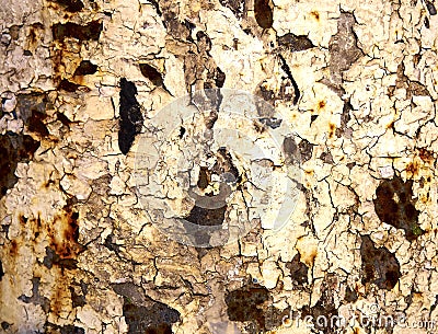 Rust Paper Texture Royalty-Free Stock Image | CartoonDealer.com #47705524