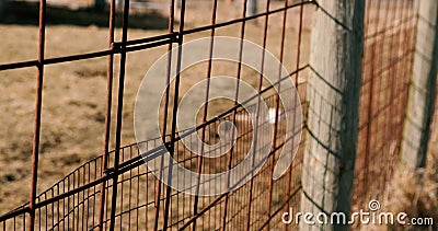 Rusty Metal Fence Mounted with Wooden Posts Stock Video - Video of ...