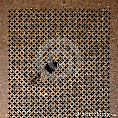 Rusty Perforated Metal Texture Stock Image | CartoonDealer.com #24049957