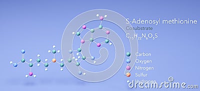 S-adenosyl Methionine Molecule, Molecular Structures, Cosubstrate, 3d ...
