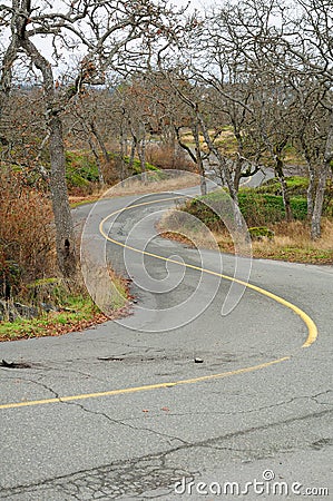 S Shape Road Royalty Free Stock Images - Image: 18293479