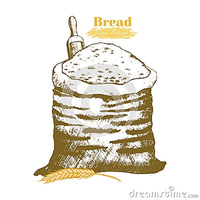 Sack With Whole Flour Hand Draw Sketch. Vector | CartoonDealer.com ...