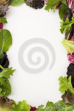 Salad Border Stock Photography - Image: 13693322