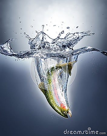 Salmon Fish Splashing Into Water Forming A Crown Splash. Stock Photo ...