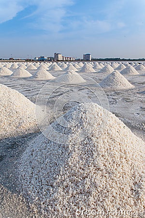 Salt Fields Royalty-Free Stock Photography | CartoonDealer.com #80766347