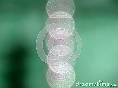 Sample Of Microscopic Circles Royalty-Free Stock Image | CartoonDealer ...