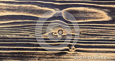 Sample Tree Texture Background Royalty-Free Stock Image | CartoonDealer ...