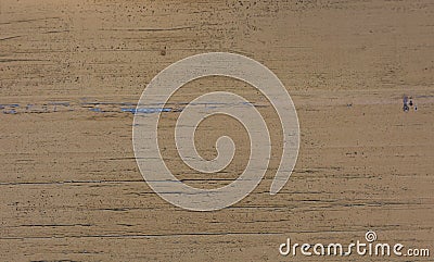 Sand Colored Wood Texture. Royalty-Free Stock Image | CartoonDealer.com ...