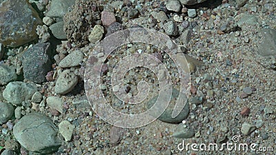 Sand Falling on a Green Screen Background Pattern Stock Footage - Video ...
