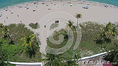 Sandy Florida beach stock footage. Video of coast, coastal - 43949076
