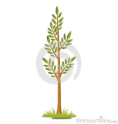Sapling Cartoon Vector | CartoonDealer.com #30362375