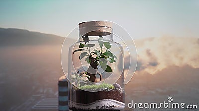 Save the Earth, Experience the Wonder of an Ecosystem in a Jar with ...