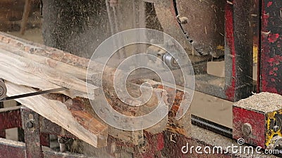 Sawing Machine at a Wood Production Plant. Processing and Sawing Timber ...