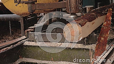 Sawmill Cutting. Processing and Sawing Timber at a Sawmill Stock Video ...