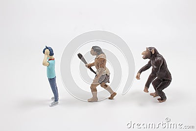 A Scale Of Figure Of Human Evolution Royalty-Free Stock Image ...