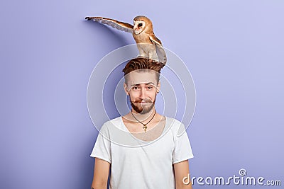 Scared Man With A Bird On His Head Looking At The Camera Royalty-Free ...