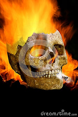 Scary Human Skull Stock Photo | CartoonDealer.com #16674510