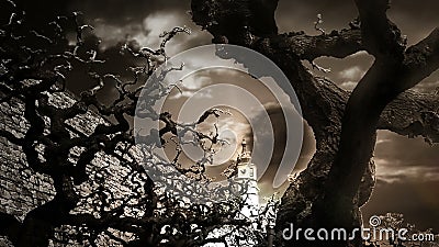Scary Looking Tree Branches and Sky with Moon Stock Video - Video of ...