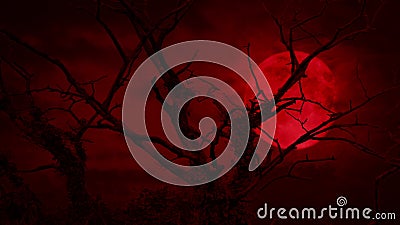 Scary Red Moon Behind Old Dead Tree Stock Video - Video of scary, magic ...