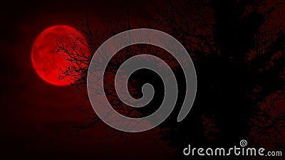 Scary Red Moon Above the Trees Stock Footage - Video of halloween, moon ...