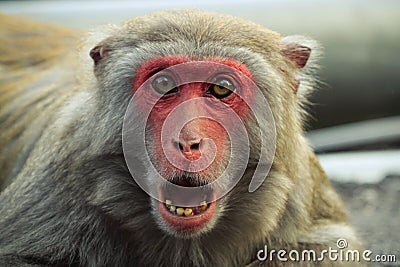 Shocked Royalty Free Stock Photography - Image: 30790107